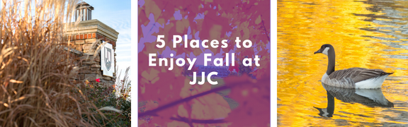 5 Places to Enjoy Fall at JJC