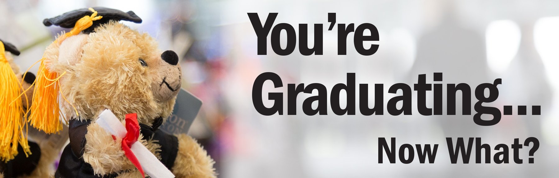 You're Graduating... Now What?